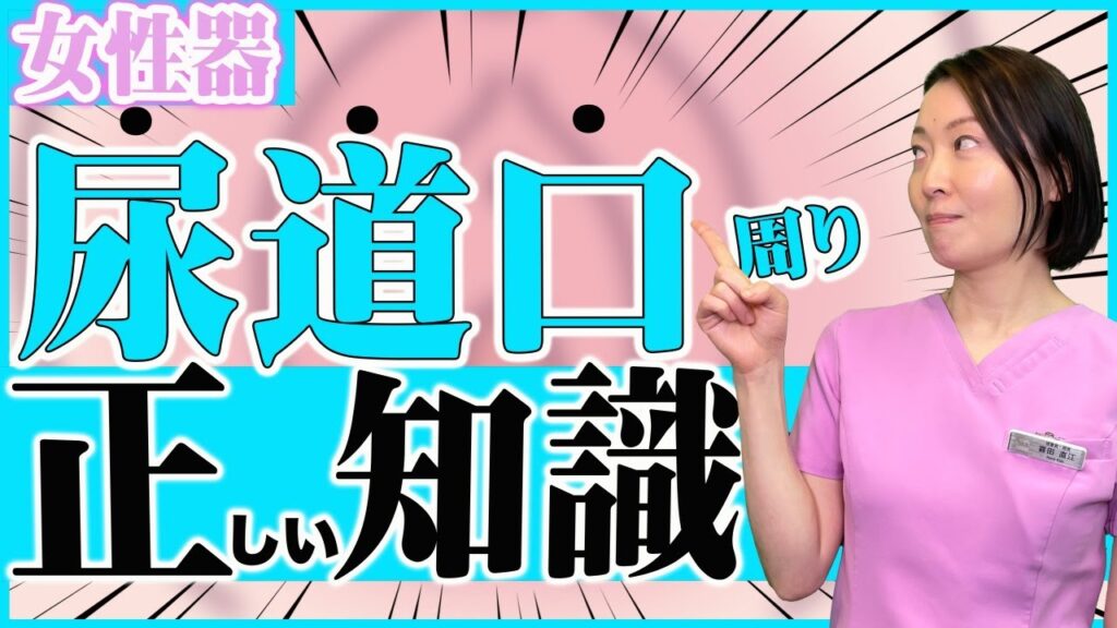 【女性器解剖】女性のおしっこはどこから出る?尿道口周辺を解説! 今さら聞けない。もっと知りたい。気になる話題をまとめたネタcube